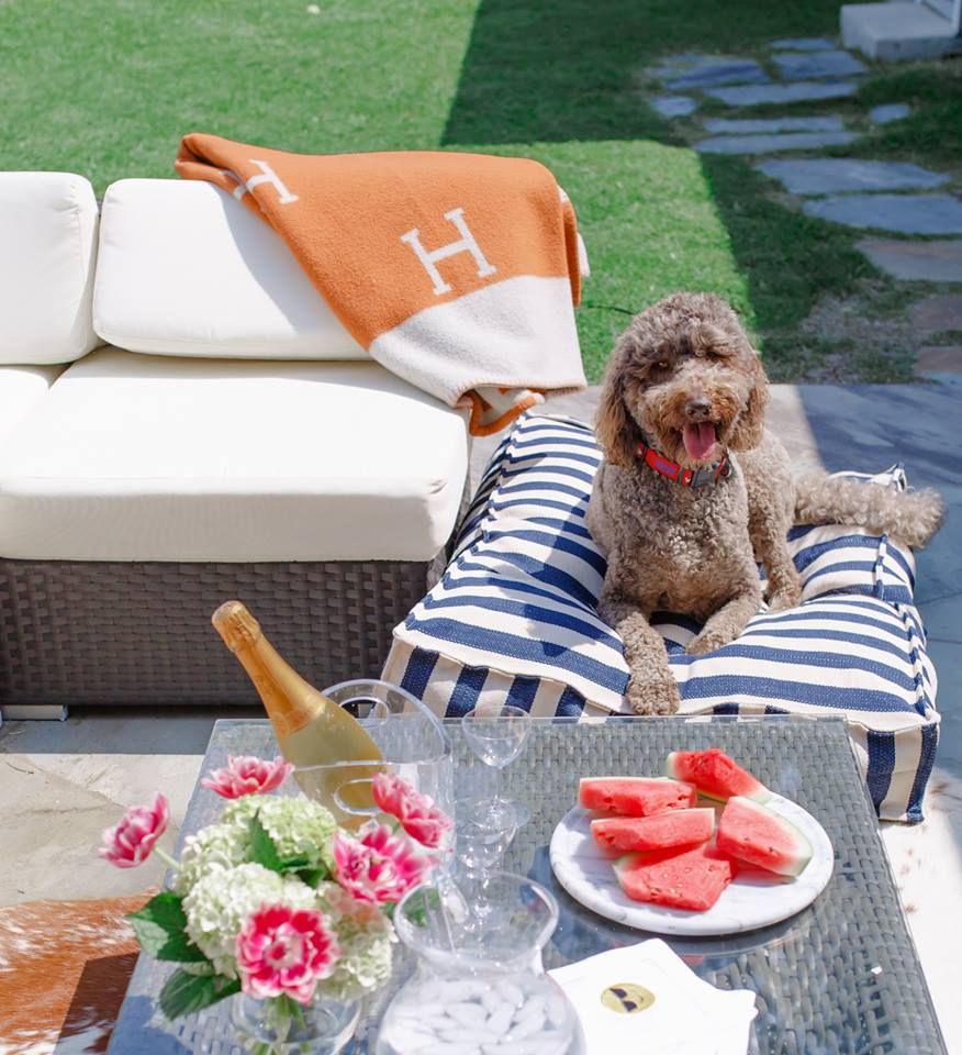 Designer tip: Lisa Gilly on choosing outdoor furniture - inRegister