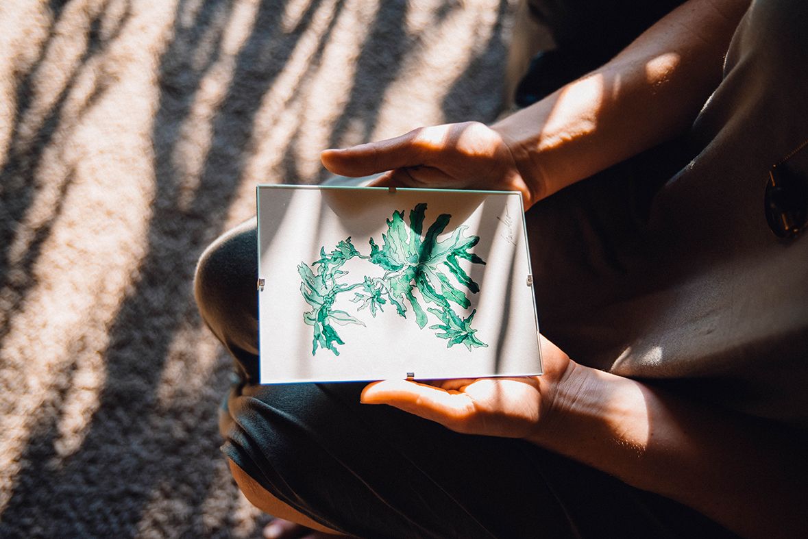 Natural beauty: The botanical art of Samara Thomas - inRegister