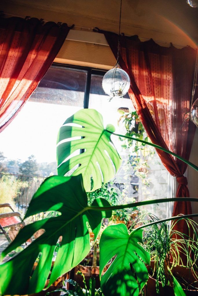 From the November issue: Samara Thomas' green thumb takes up a green ...
