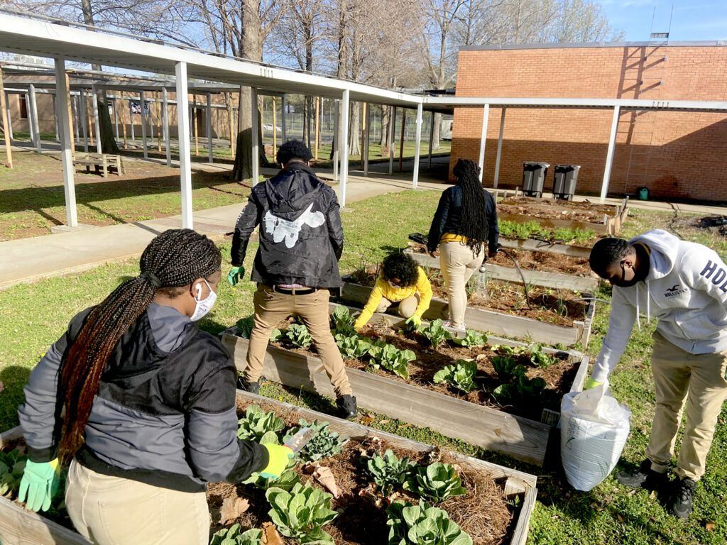Baton Roots blossoms in its mission to cultivate fresh food options and ...