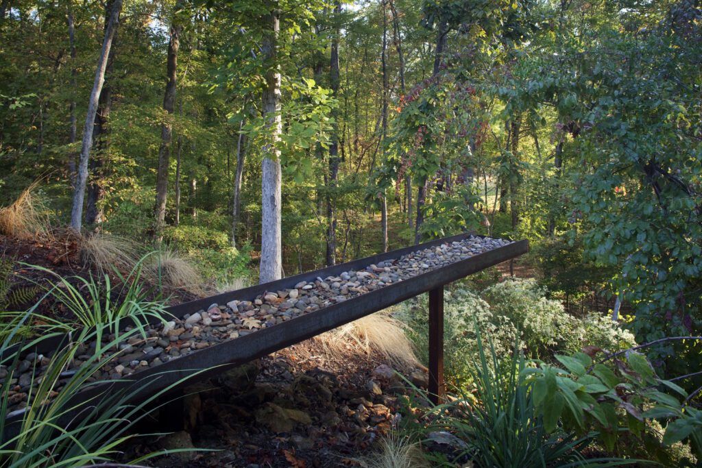 Lush Landscapes: How a backyard rain garden makes stormwater meaningful ...