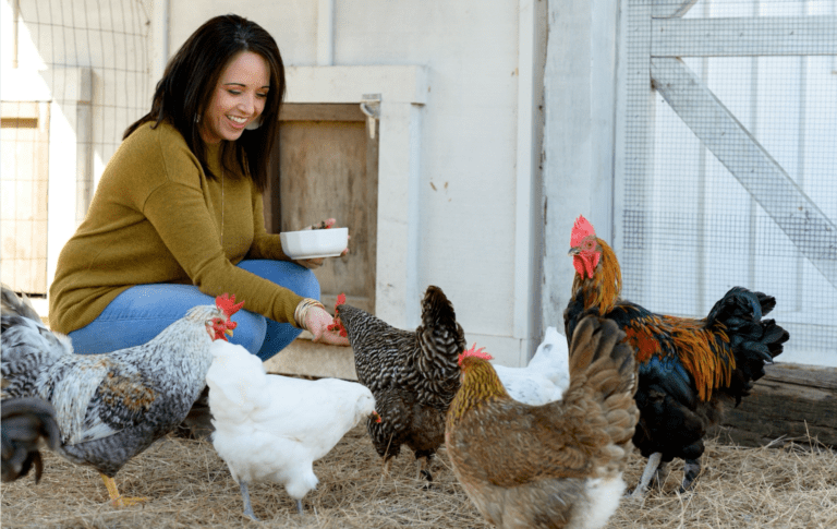 Ready to hop on the chicken trend? Here's how to do it the right way ...