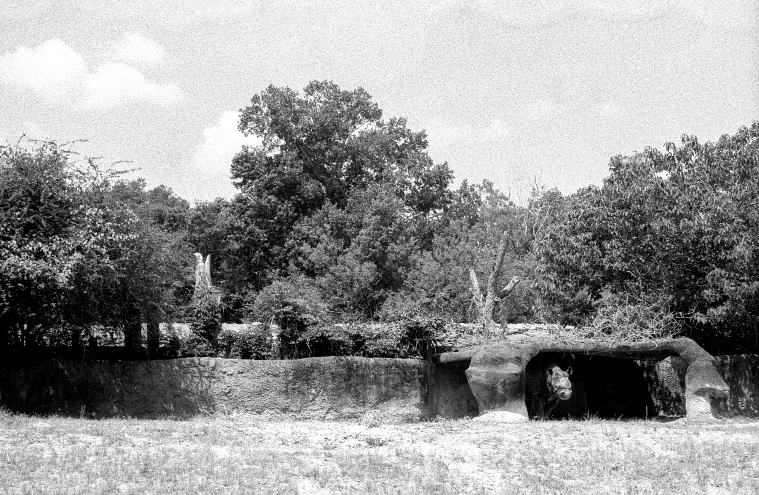 On Exhibit: 'Art for Animals' at BREC's Baton Rouge Zoo - inRegister