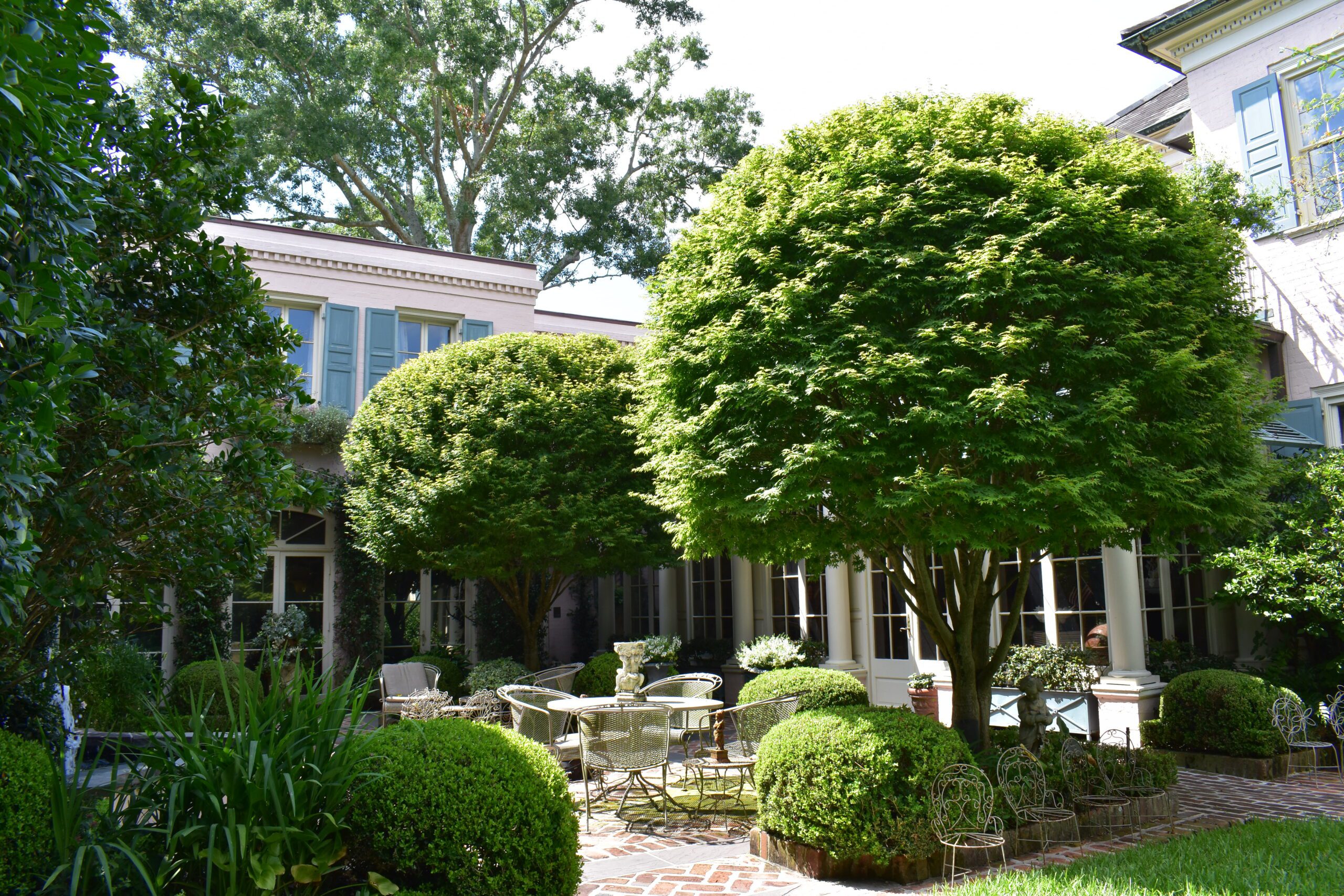 Expert advice on preserving tree health and longevity - inRegister