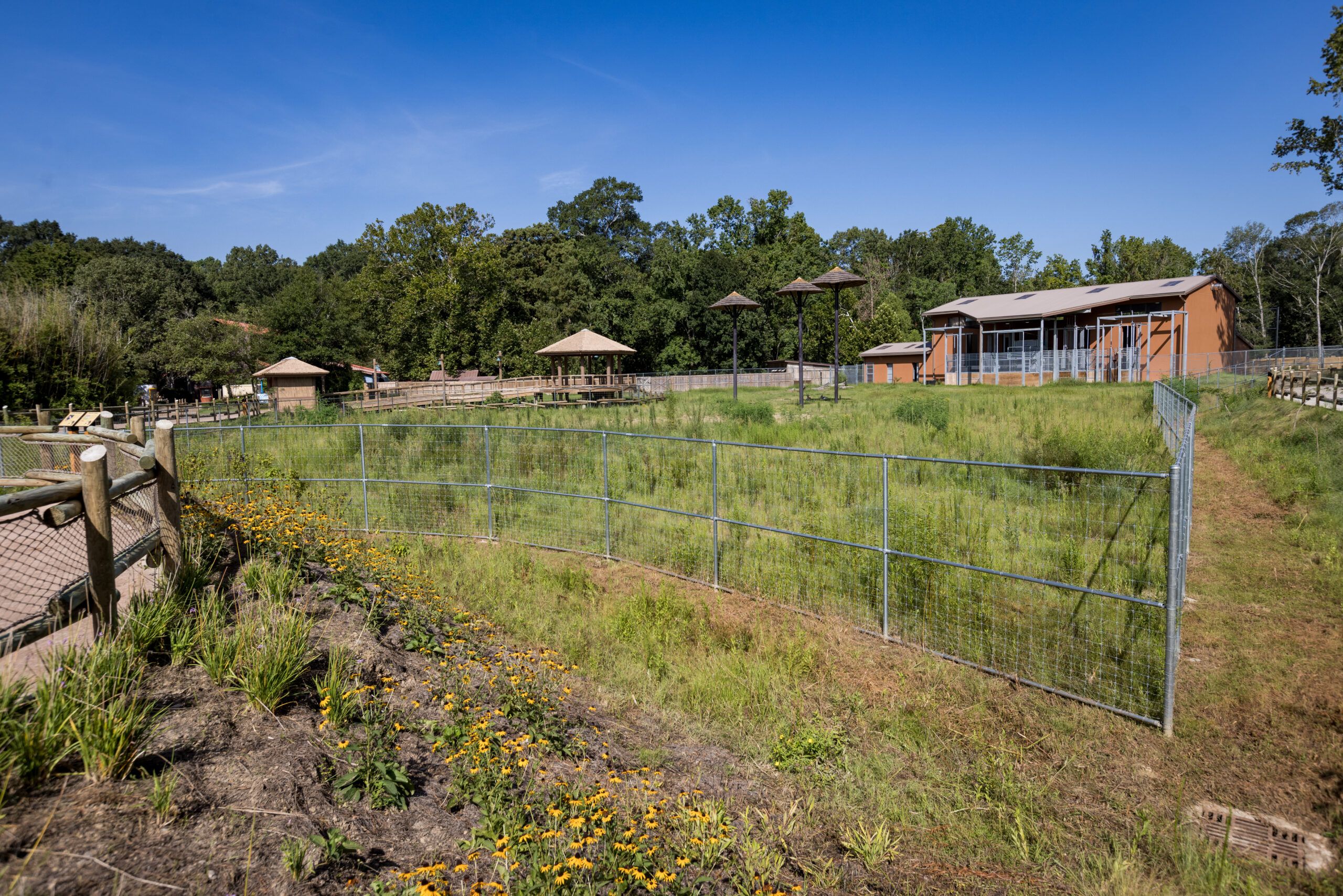 An extensive renovation of BREC's Baton Rouge Zoo delivers a new and ...
