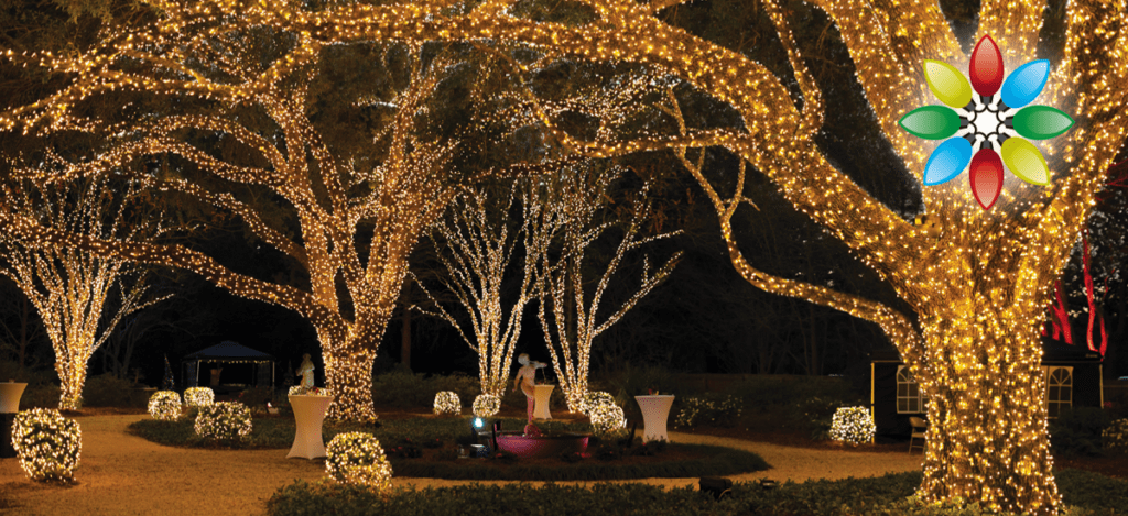 Step into a holiday wonderland: Louisiana Lights transforms Windrush ...