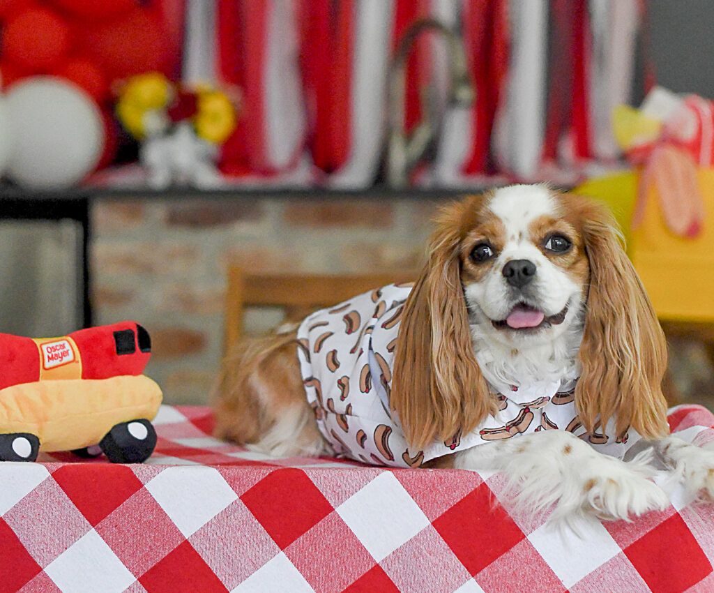 Aimee's Pretty Palate: Hot Diggity Dog - inRegister